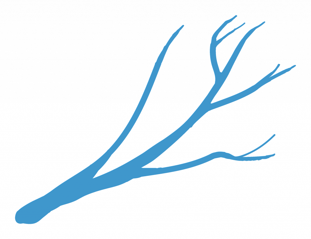 Rivers of Alabama | Auburn University Water Resources Center