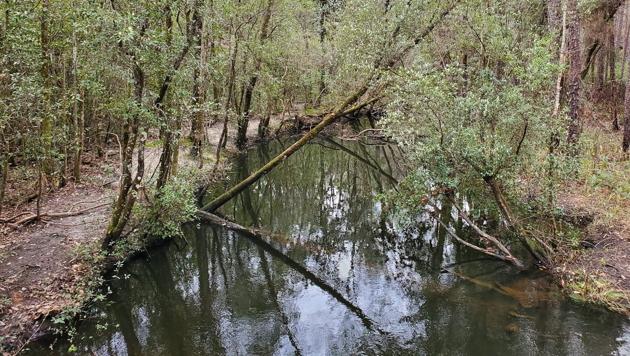 Rivers of Alabama | Auburn University Water Resources Center