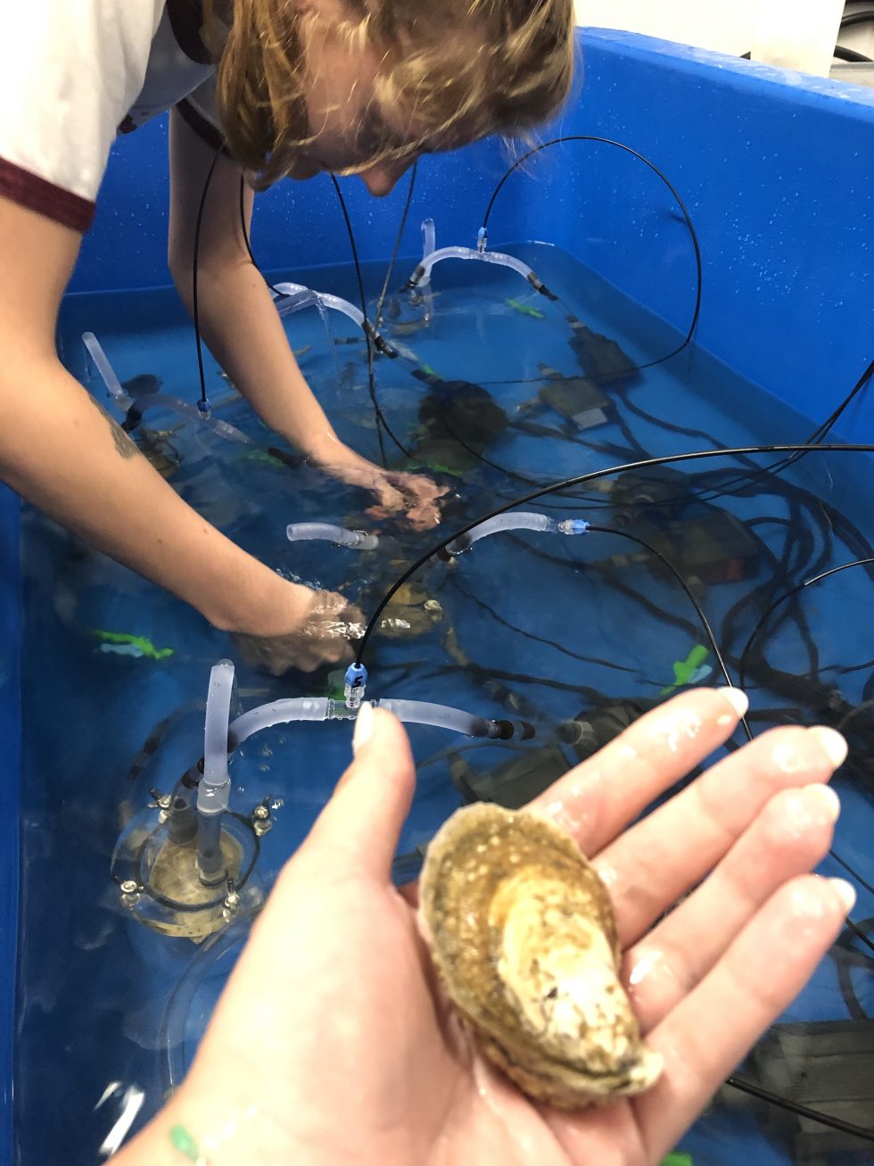 Meet Kayla Boyd & Kaelyn Fogelman | Auburn University Water Resources ...