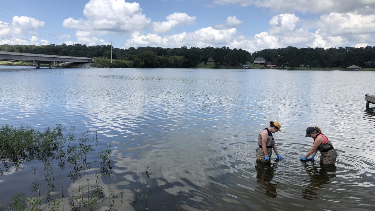 Meet Ella Larson | Auburn University Water Resources Center