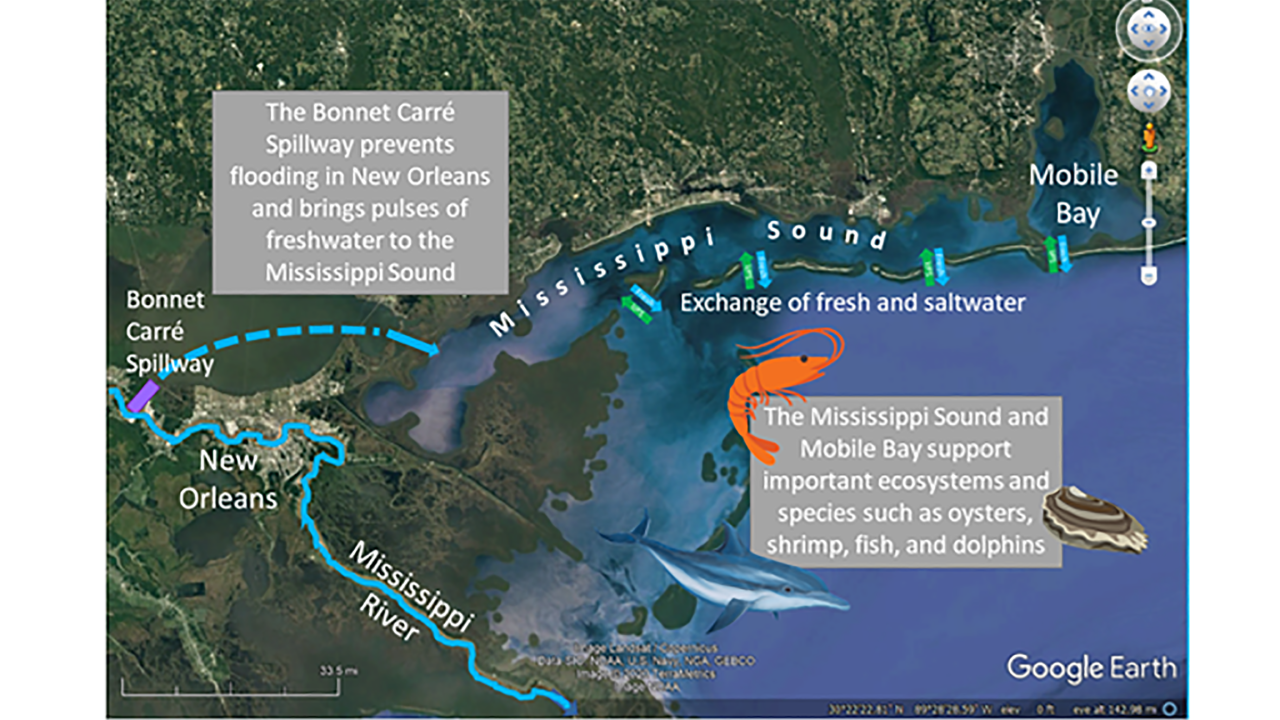 Meet Dr. Anna Linhoss | Auburn University Water Resources Center