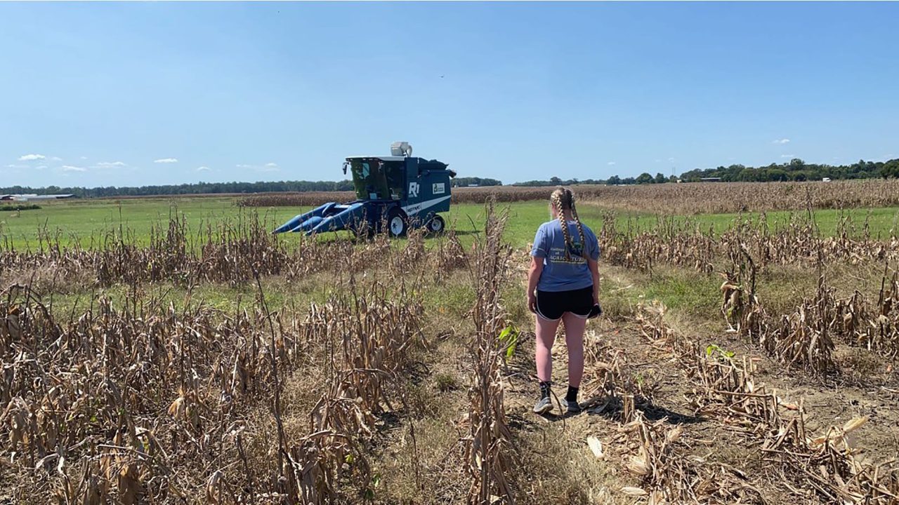 Meet Anna Powell | Auburn University Water Resources Center