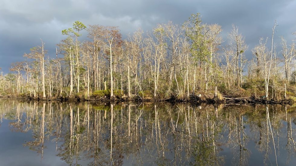 Meet Dr. Chris Anderson | Auburn University Water Resources Center