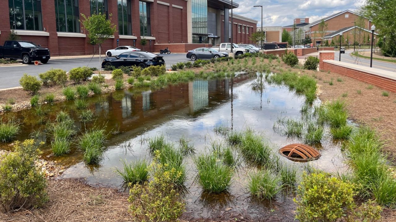 AU Water Resources Center Hosts Workshop on Designing Bioretention ...
