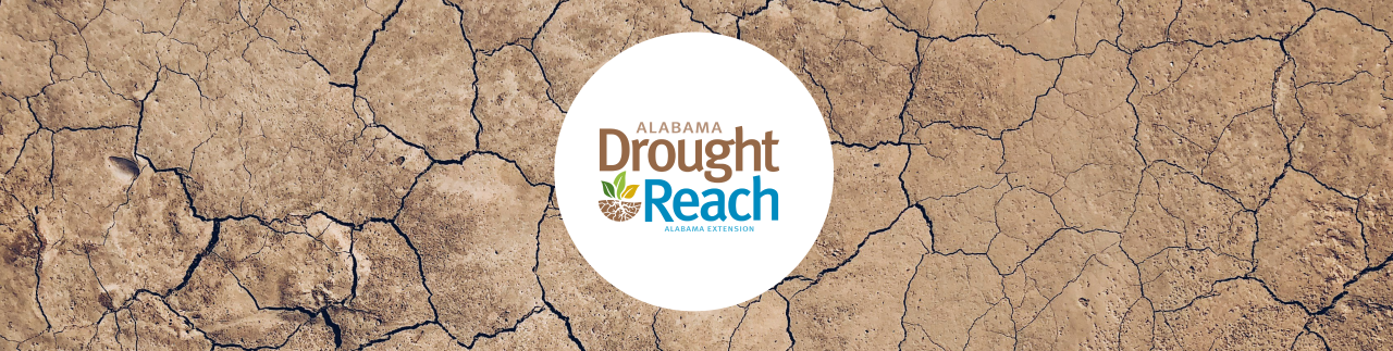 Alabama Drought Reach | Auburn University Water Resources Center